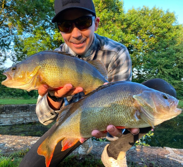 Targeting Specimen Perch on Lures (Part 2) - Predator Fishing World