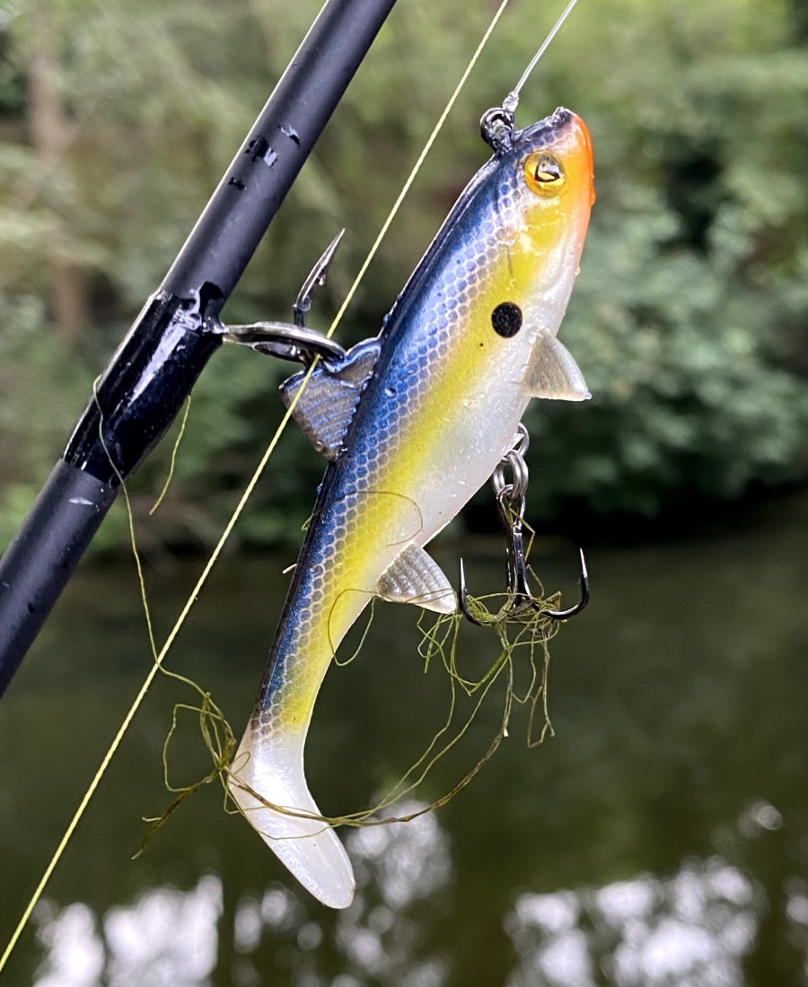 Targeting Specimen Perch on Lures (Part 1) - Predator Fishing World