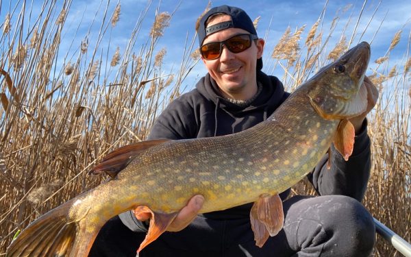Simple Dead Baiting Rigs to Use for Pike Fishing - Predator Fishing World