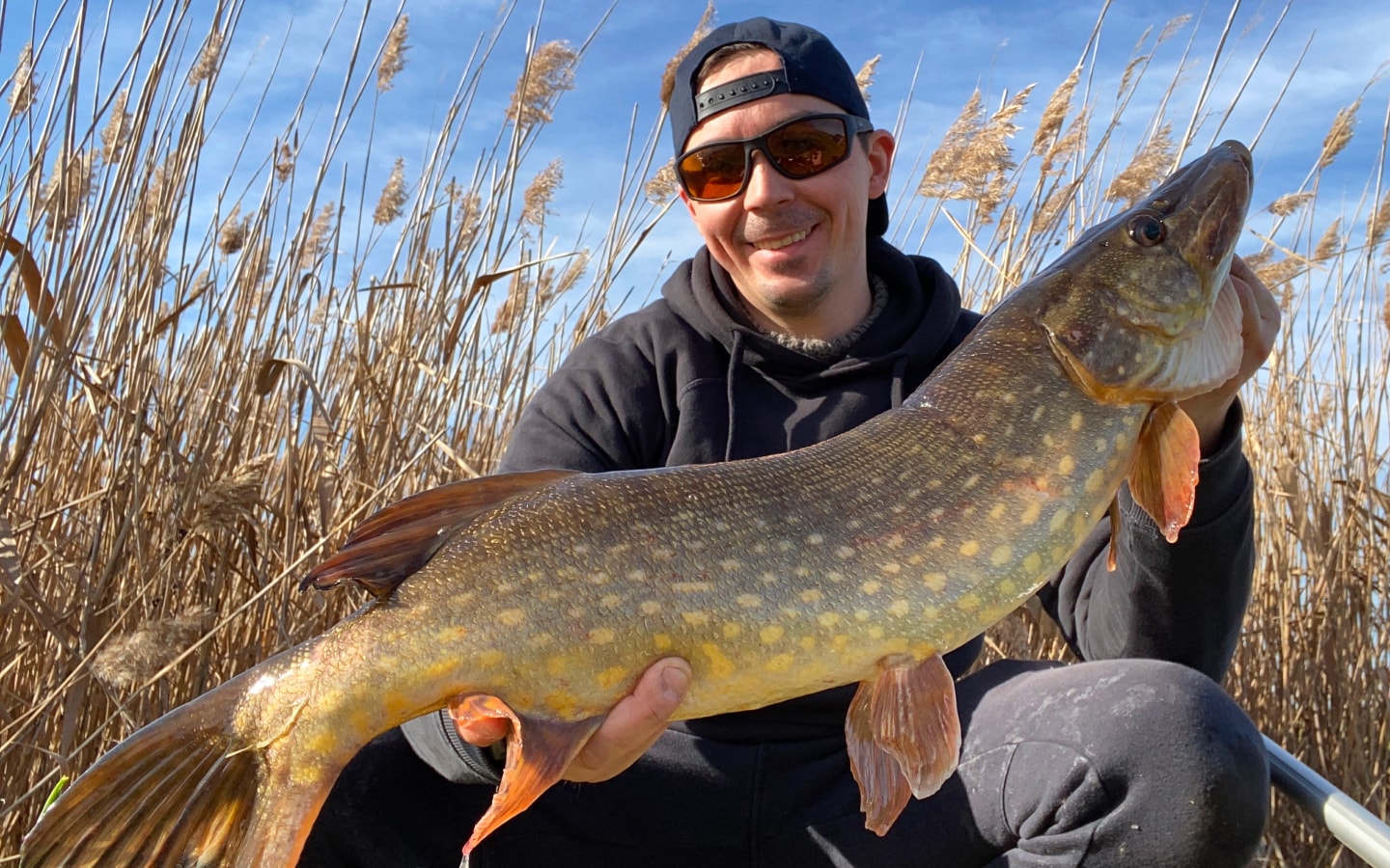 Simple Dead Baiting Rigs to Use for Pike Fishing - Predator Fishing World