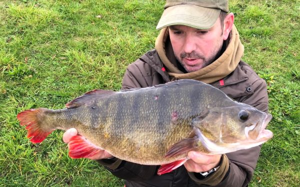 Predator Fishing Records - Predator Fishing World