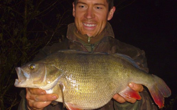 UK Perch Record (How & When Was It Caught?) - Predator Fishing World