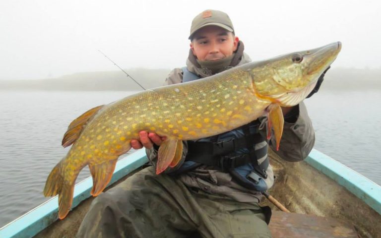 Best Time of Year for Pike Fishing in the UK - Predator Fishing World