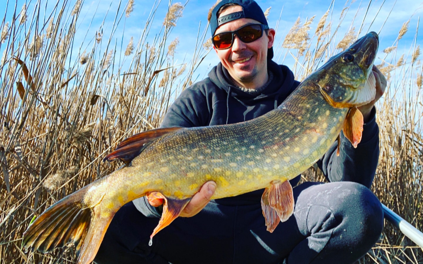 Best Time of Year for Pike Fishing in the UK - Predator Fishing World