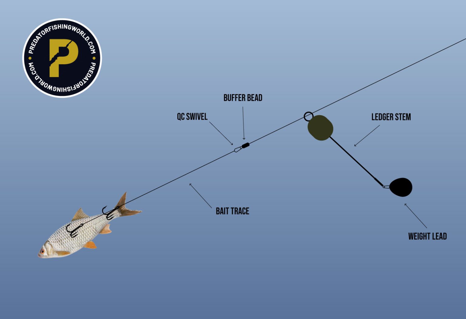 Mastering Deadbaiting: The Best Pike Rigs for Lakes - Predator Fishing ...