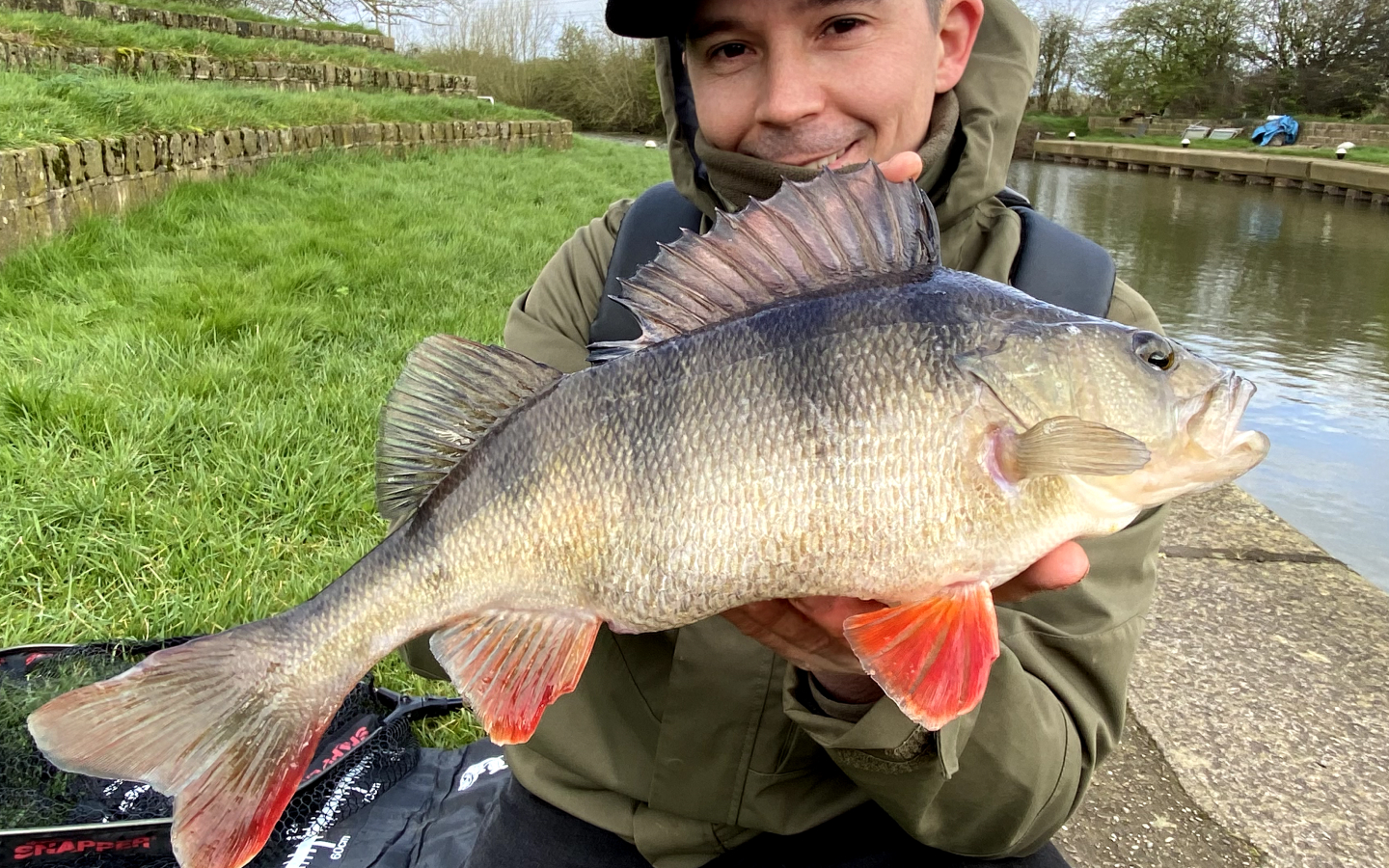 When Is Perch Fishing Season? - Predator Fishing World
