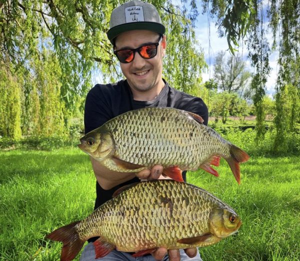 A Guide to Catching Rudd with Lures - Predator Fishing World