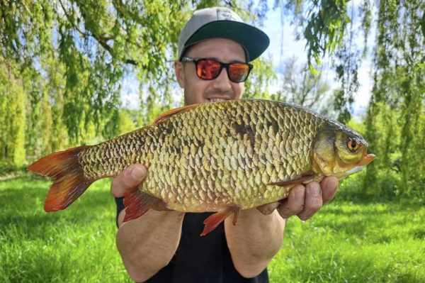 A Guide to Catching Rudd with Lures - Predator Fishing World