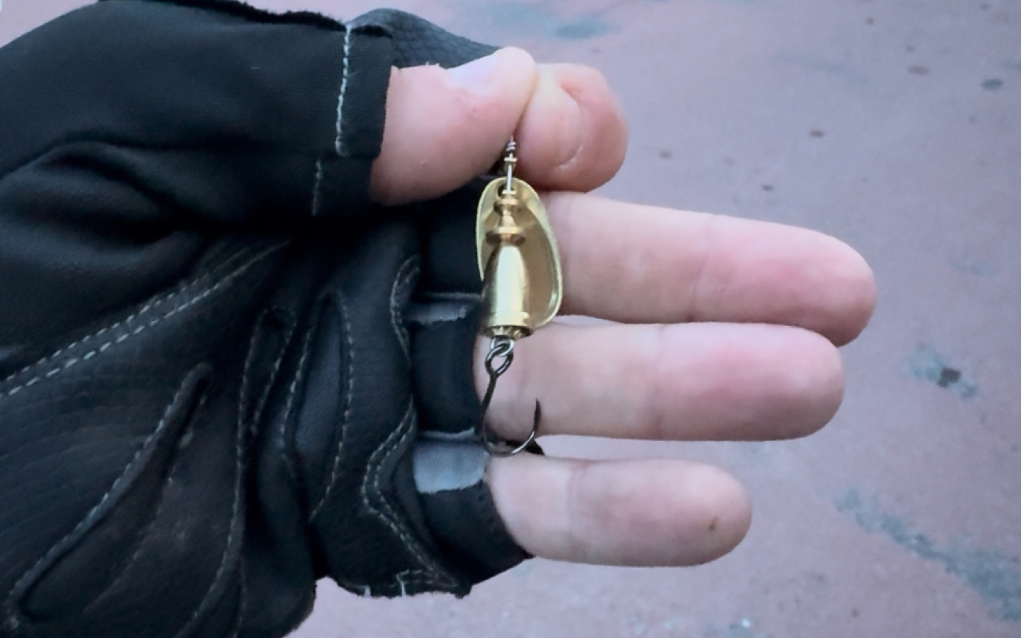 Catching Trout on a single Hook spinner lure - Predator Fishing World