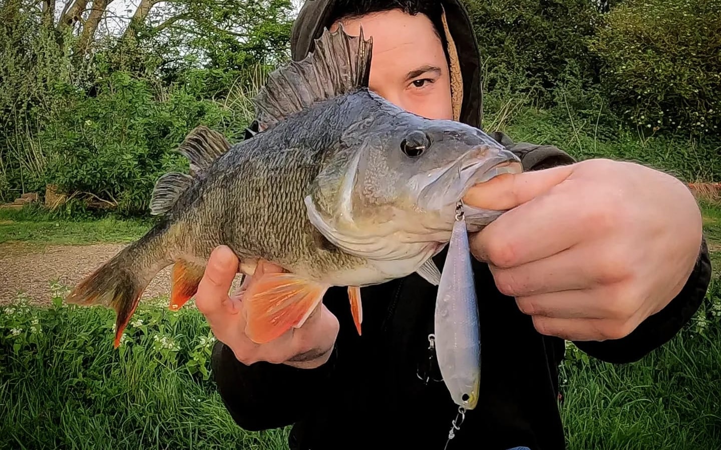 Surface Fishing for Perch: Techniques and Tips with Hayden Seabrook ...