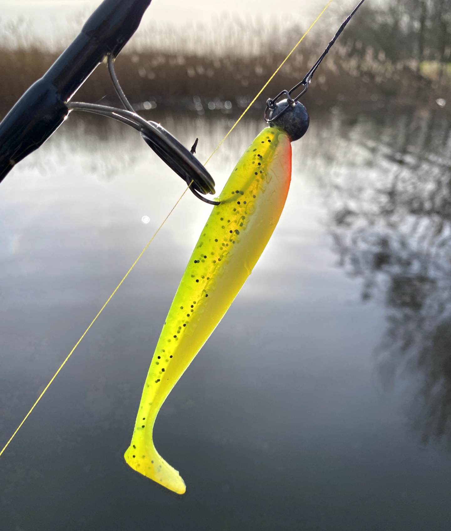 Fox Rage Ultra UV Zander Pro Shad: A Comprehensive Review - Predator ...