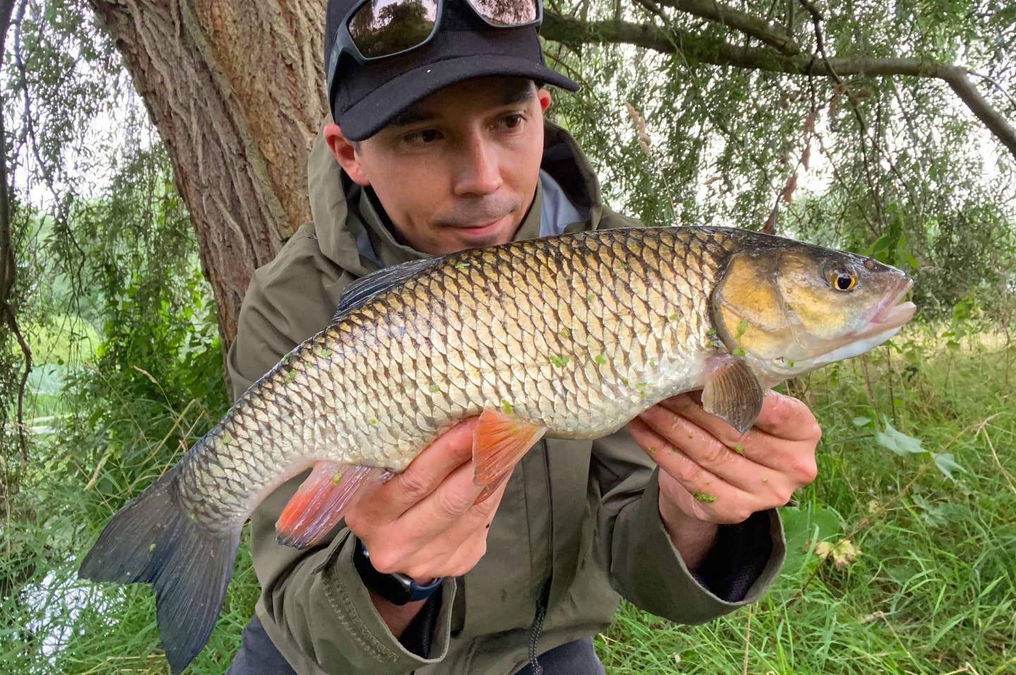 Chub Fishing with Lures: Top Ten Tips to catch More Chub! - Predator Fishing World