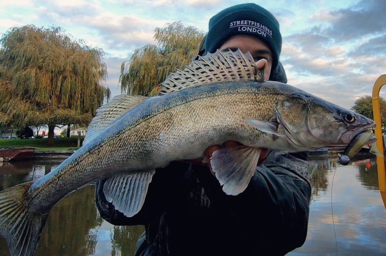Top 10 Tips for Catching More Zander on Lures - Predator Fishing World