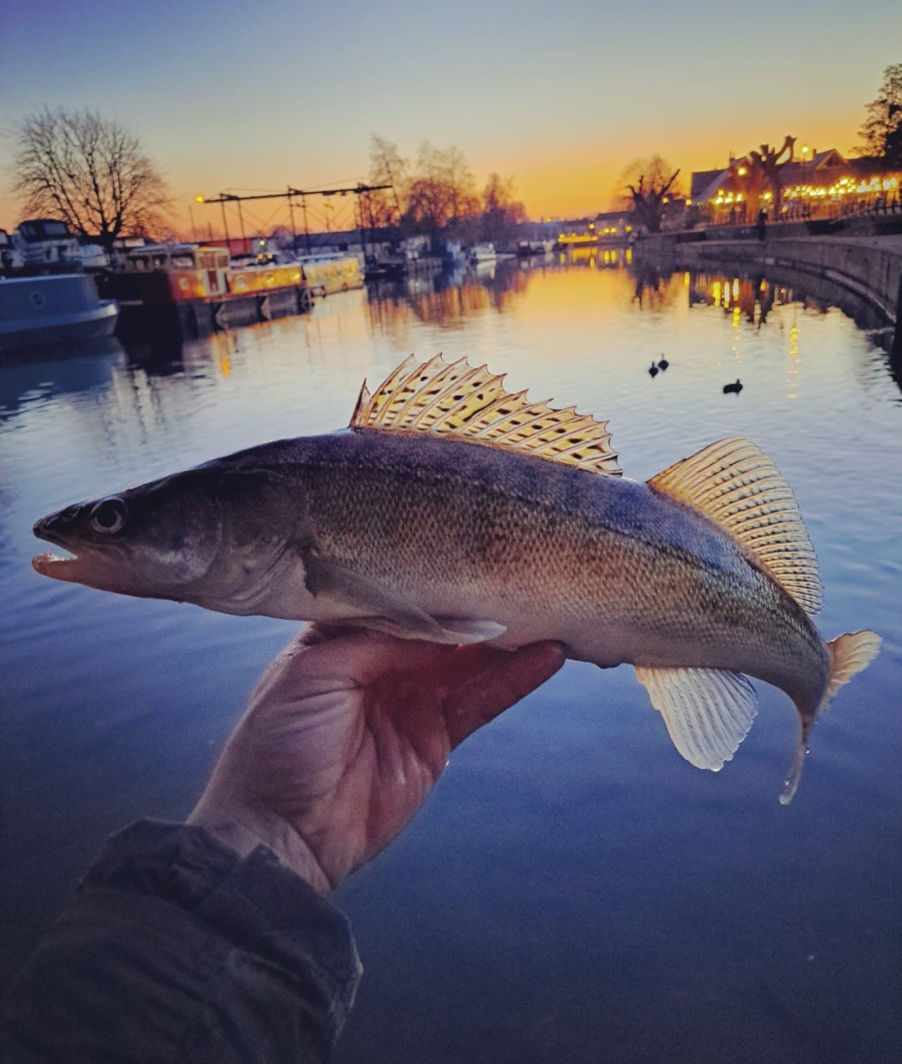 Top 10 Tips for Catching More Zander on Lures - Predator Fishing World
