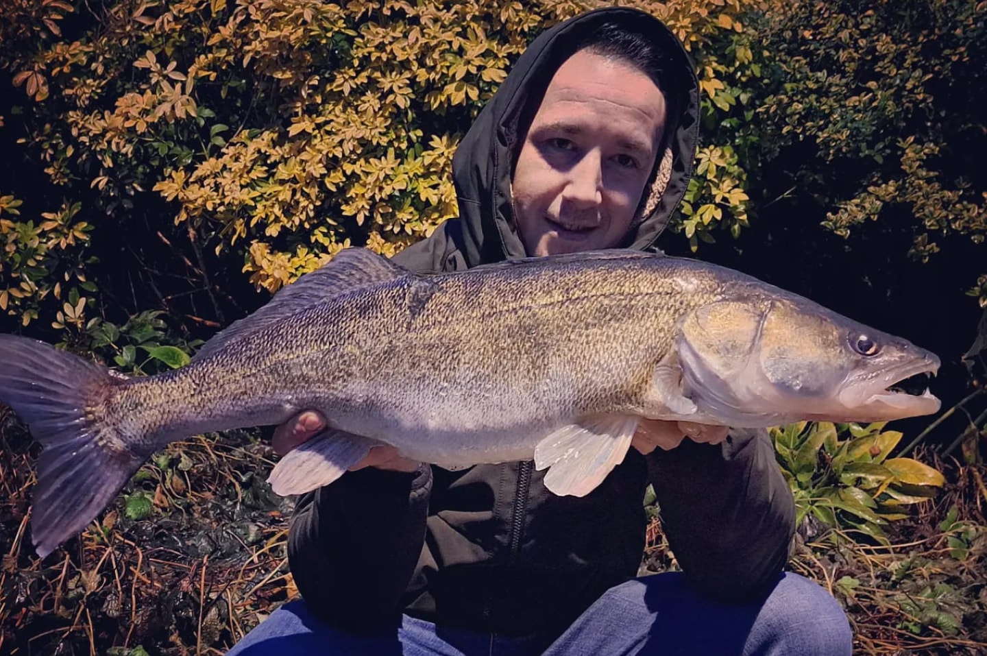 Top 10 Tips for Catching More Zander on Lures - Predator Fishing World