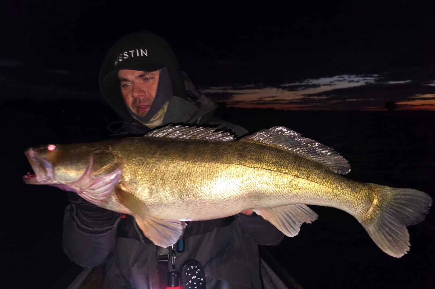 Zander Madness 2: A Night of Fierce Competition and Fishing Glory ...