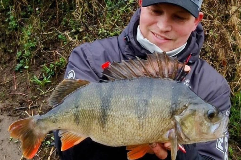 Simple Dead Baiting Rigs to Use for Pike Fishing - Predator Fishing World