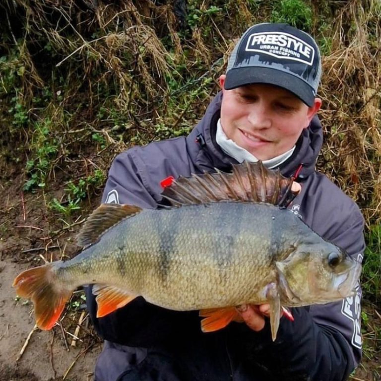 Fishing for Perch in and Around Snags: A Guide to Success - Predator ...