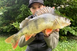 How to Catch Perch: Essential Tips and Techniques for Big Perch Fishing ...