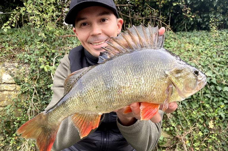 How to Catch Perch: Essential Tips and Techniques for Big Perch Fishing ...