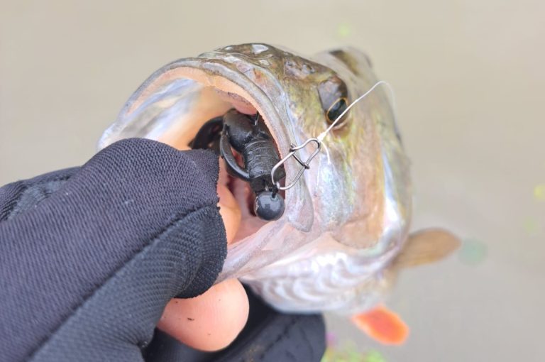 Lure Fishing for Perch During Flooded Rivers: Tips and Techniques ...