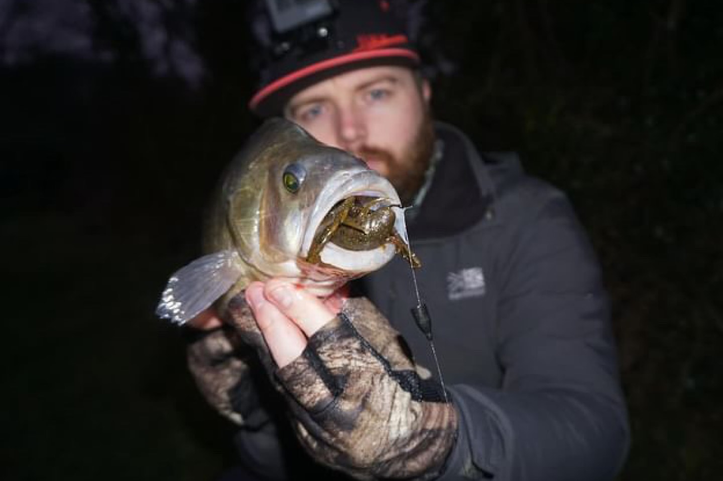 How to Fish the Texas Rig for Perch - Predator Fishing World