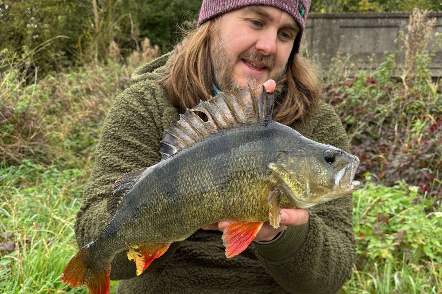 Ned Rig Fishing for Perch: A Complete Guide - Predator Fishing World