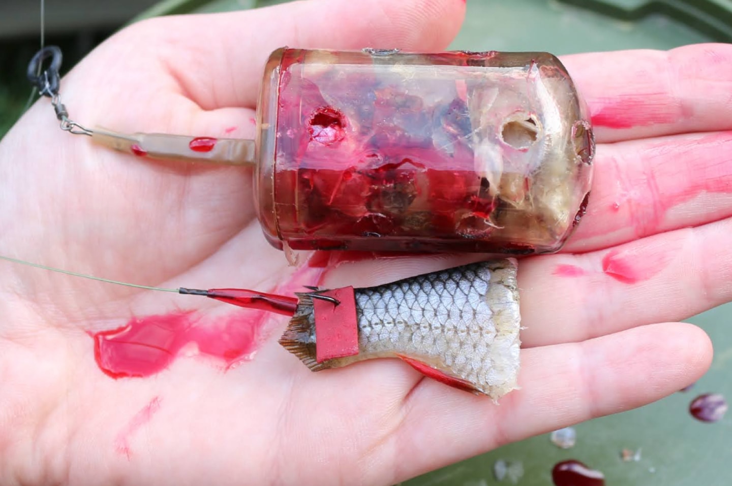 Zander Fishing in the Fens - Predator Fishing World