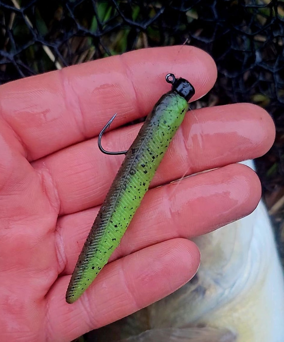 Fishing the Ned Rig for Perch - Ash Costa - Predator Fishing World