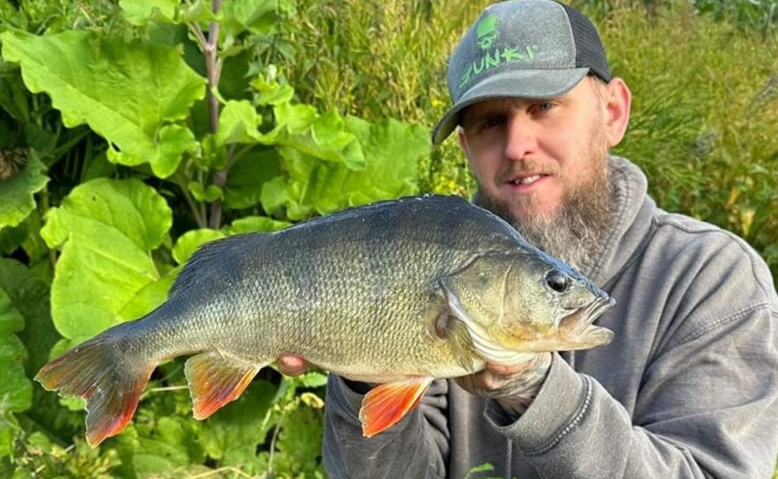 How to Catch Perch: Essential Tips and Techniques for Big Perch Fishing ...
