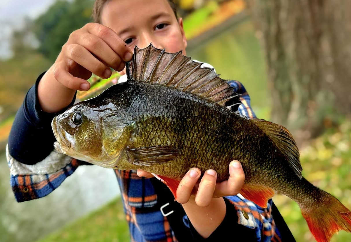 ProFishingUK Predator League 2024: The Final Results - Predator Fishing ...