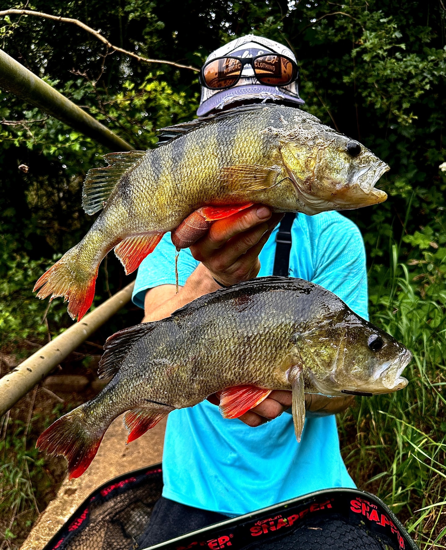 Fishing The Texas Rig For Perch - Predator Fishing World