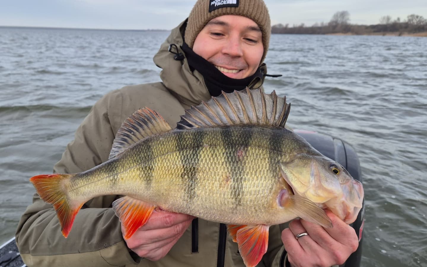 Fishing the Haringvliet: In Search of Monster Predators! - Predator ...