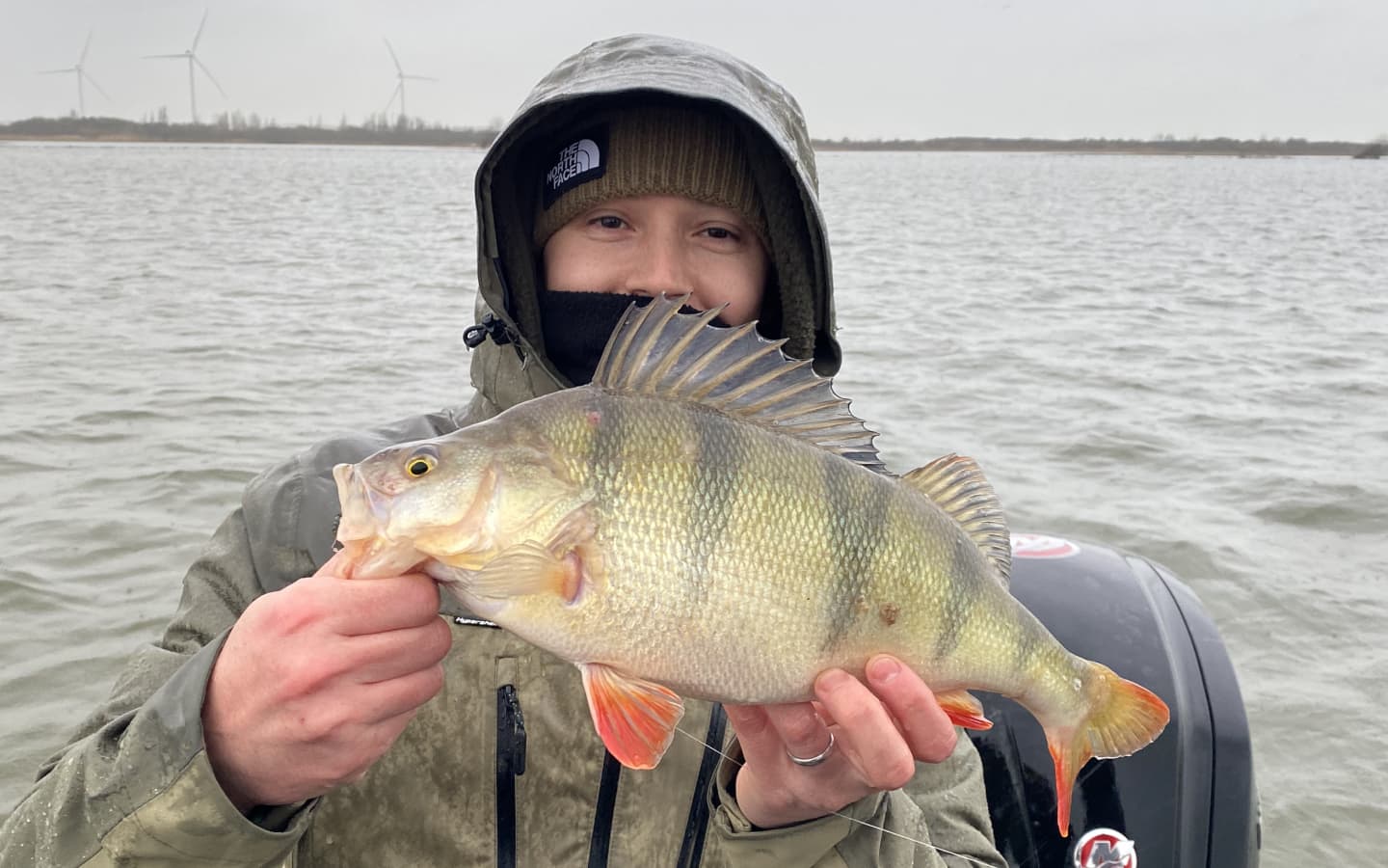 Fishing the Haringvliet: In Search of Monster Predators! - Predator ...