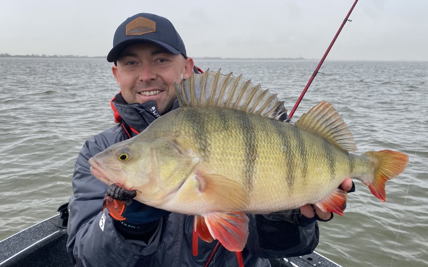 Fishing the Haringvliet: In Search of Monster Predators! - Predator ...