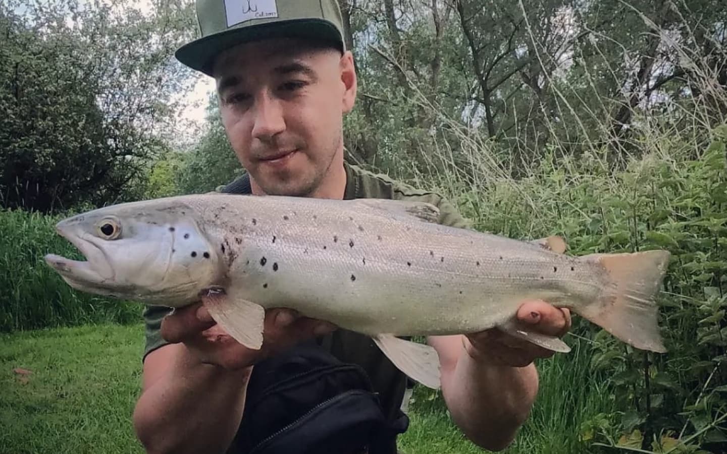 Trout Fishing on Lures: A First-Hand Guide - Predator Fishing World