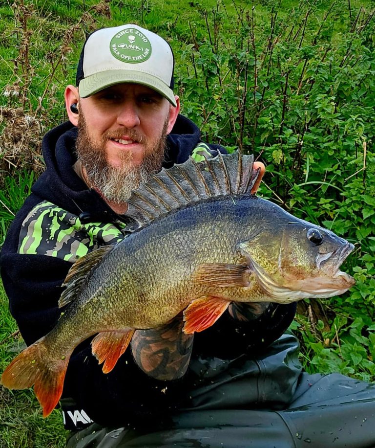 How to Catch Big Perch – My Proven Tips and Techniques - Predator ...