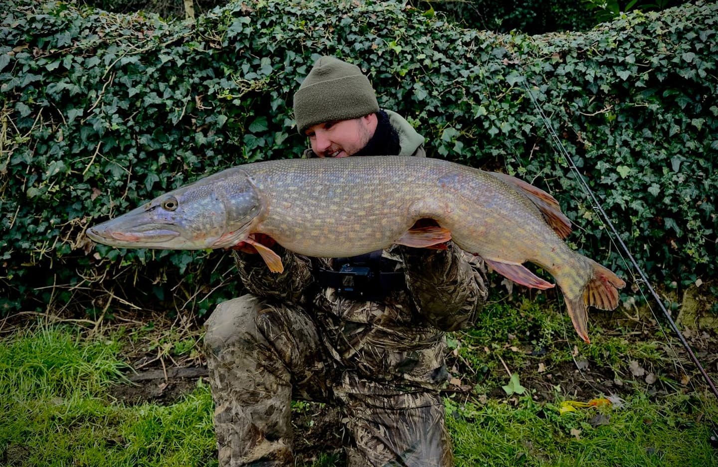 Gator Catfish 35cm (Trusty) + VMC Mustache Rig (Cappuccino) Review ...