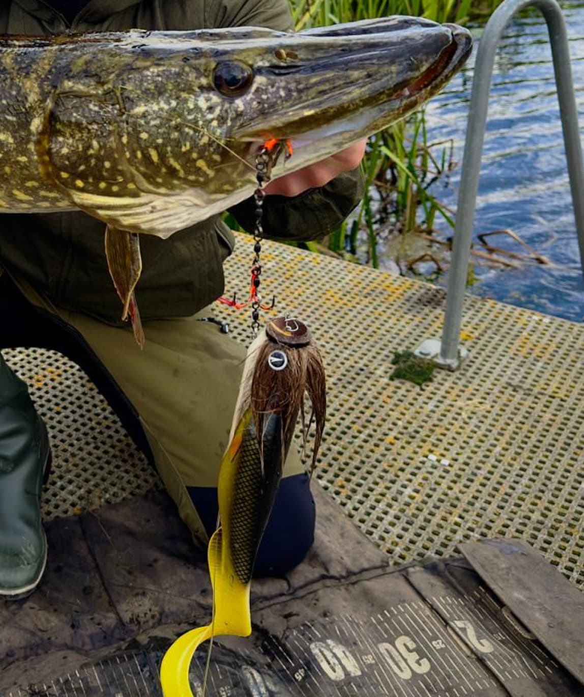 Gator Catfish 35cm (Trusty) + VMC Mustache Rig (Cappuccino) Review ...