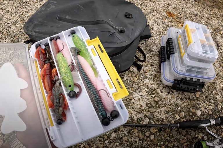 Urban Fishing for Sea Bass on Lures - Predator Fishing World