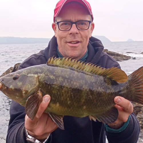 Damion Fryer, Author at Predator Fishing World