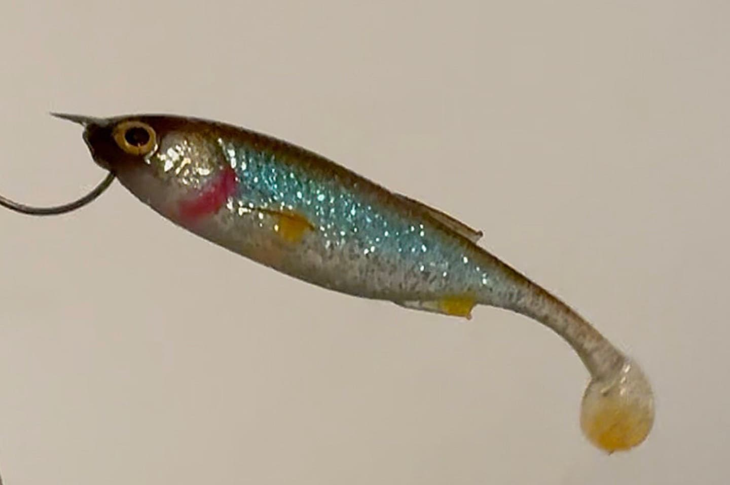 A Drop Shot Journey: Learning One of Lure Fishing’s Most Effective ...