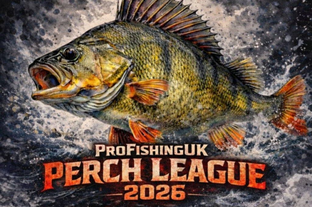 How to Catch Perch: Essential Tips and Techniques for Big Perch Fishing ...