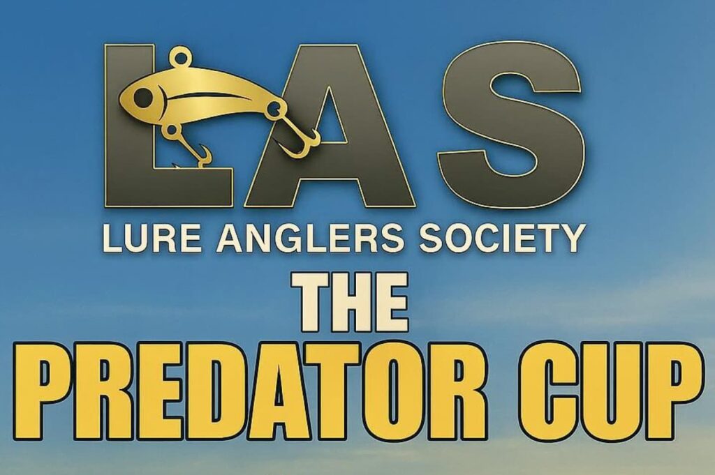 Best Perch Lures in the UK: Top Picks for Anglers - Predator Fishing World